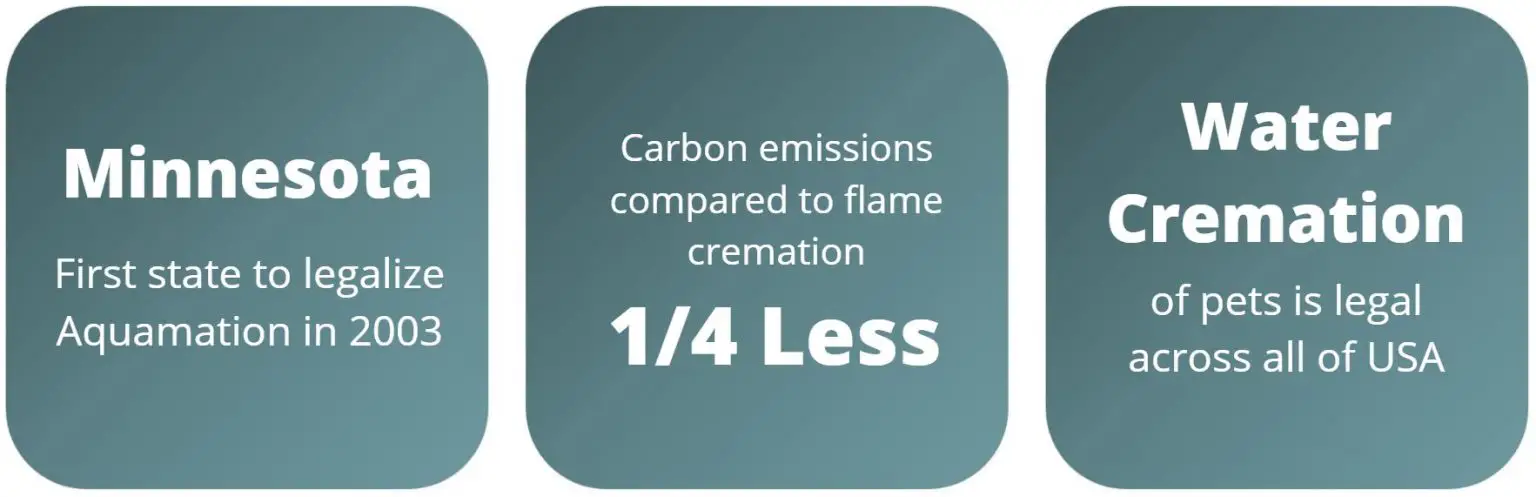 What Is Aquamation? FLAMELESS CREMATION GUIDE [2025]