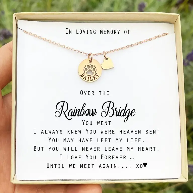 21 Ideas What To Get Someone Whose Dog Died 2023 21-ideas-what-to-get-someone-whose-dog-died-2023