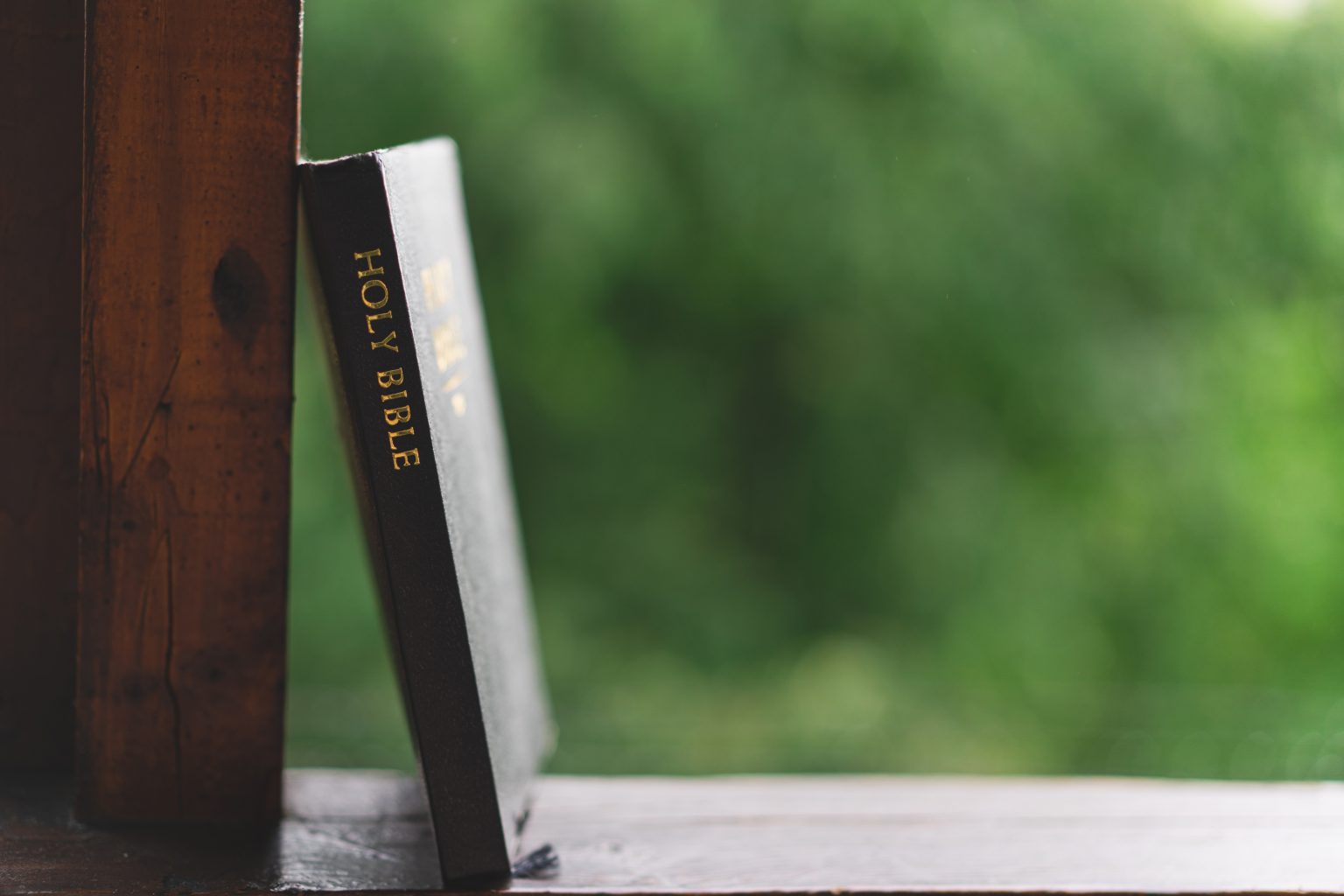 57 Bible Verses For Memorials [2025]